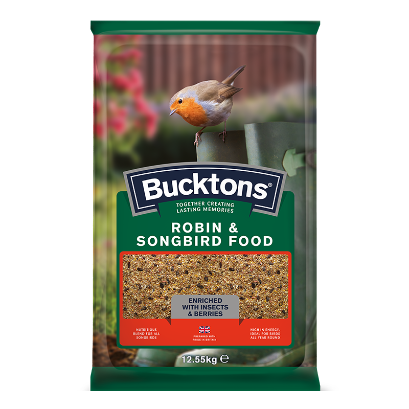 Robin Songbird Bucktons